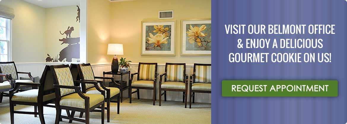 Best Dentist in Belmont, NC - Oak Ridge Dental Arts