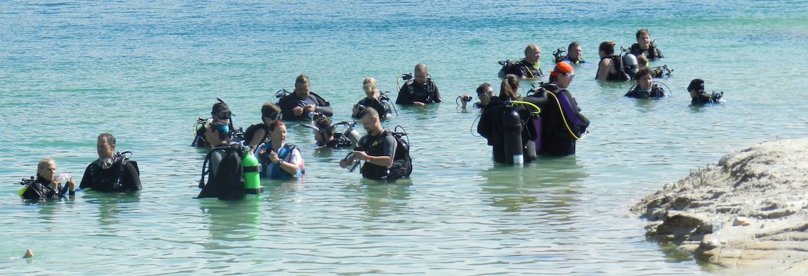 Texan Scuba Diving Lessons Houston Texas The Woodlands Texas