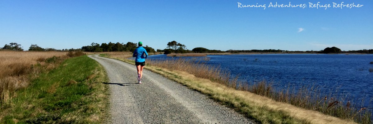 Surf & Adventure and Ocean Rentals Sandbridge Beach